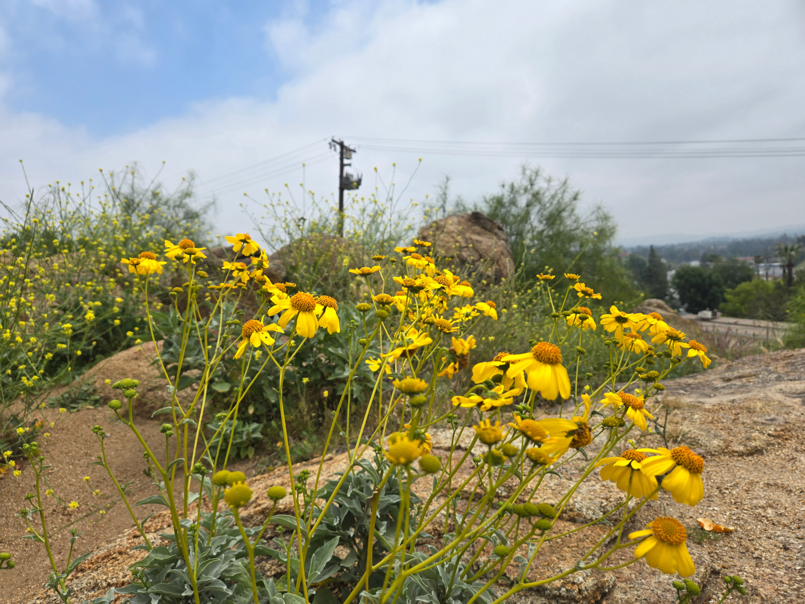 Hiking Mt. Rubidoux: Iconic Views Over Riverside, CA - grecobon